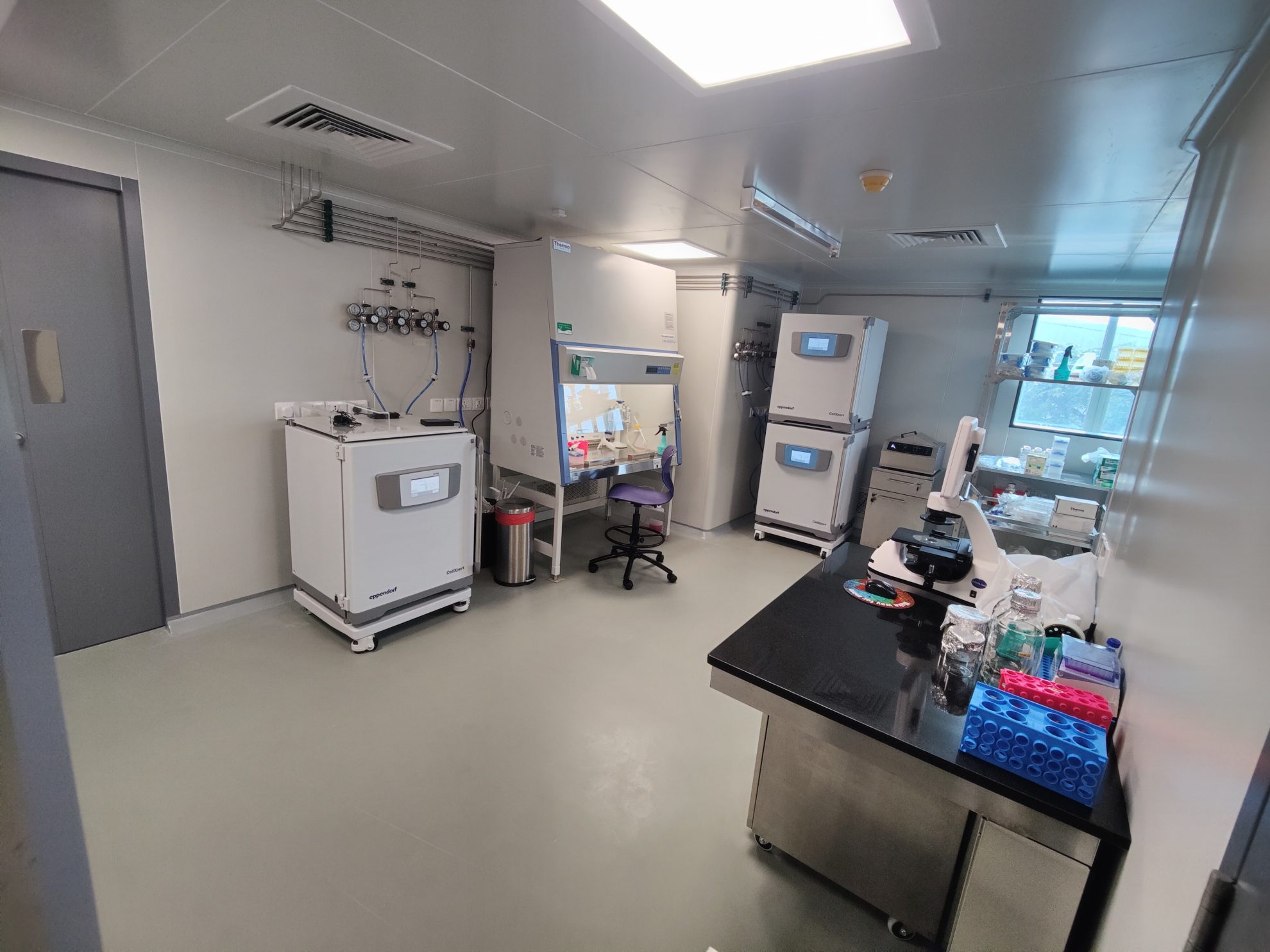 Stem Cell Biology Lab – TCG Crest