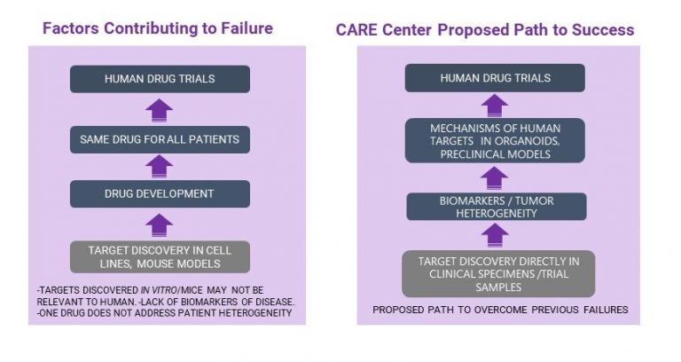 About Us – TCG Crest