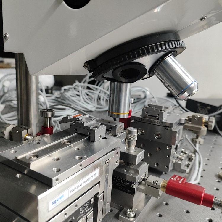 IYQ 2025 MEETINGS – TCG Crest